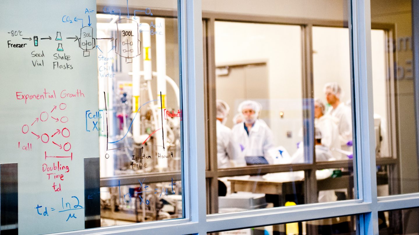 About | Chancellor's Faculty Excellence Program | NC State University